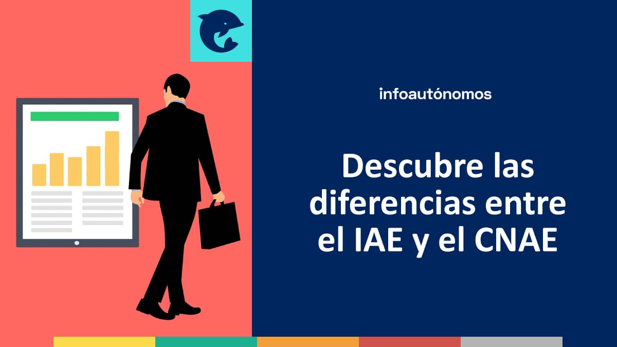 Todo lo que necesitas saber sobre IAE y CNAE - Certificadosweb